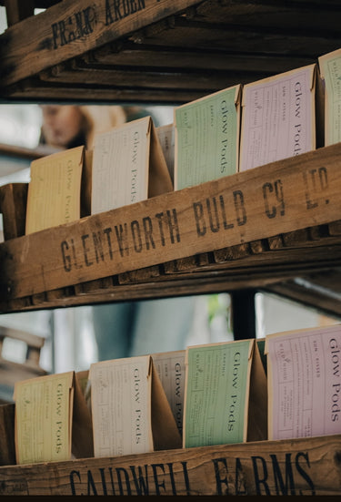 Glow Pods – Wild & Wood Skincare